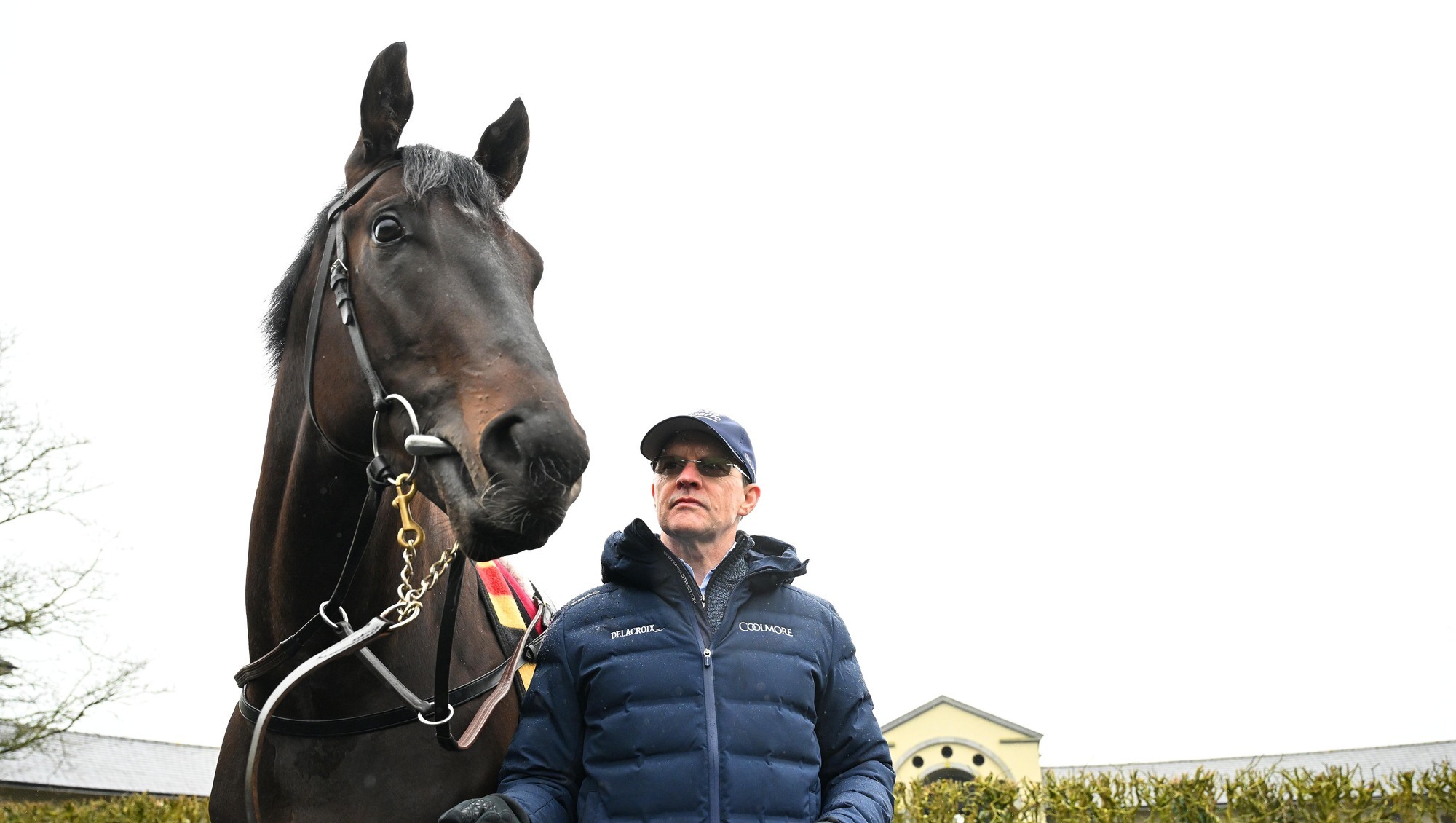 Aidan O’Brien's training approach with Albert Einstein will differ to ...