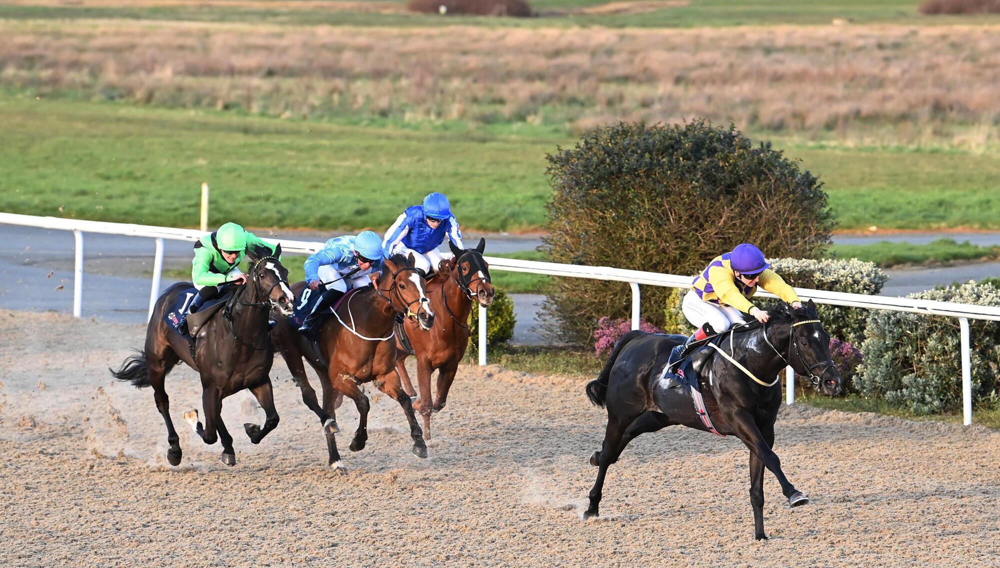 Ocean's Breath gives trainer Ger Lyons his first win of 2026