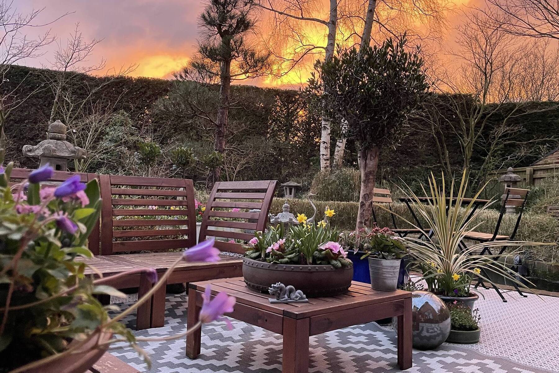 Peter Dowdall: How screening adds a new dimension to the garden