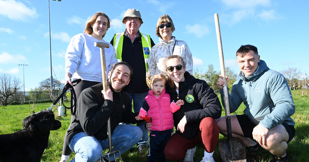 Watch: Rotary Club plants a grove of native Irish oak trees