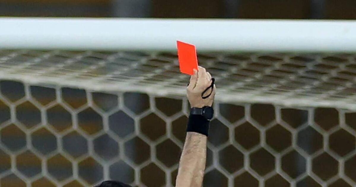 Watch: Two goalkeepers sent off for stoppage-time punching brawl in ...