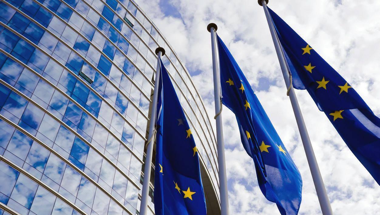 Mother of autistic boy to address European Parliament over lack of ...