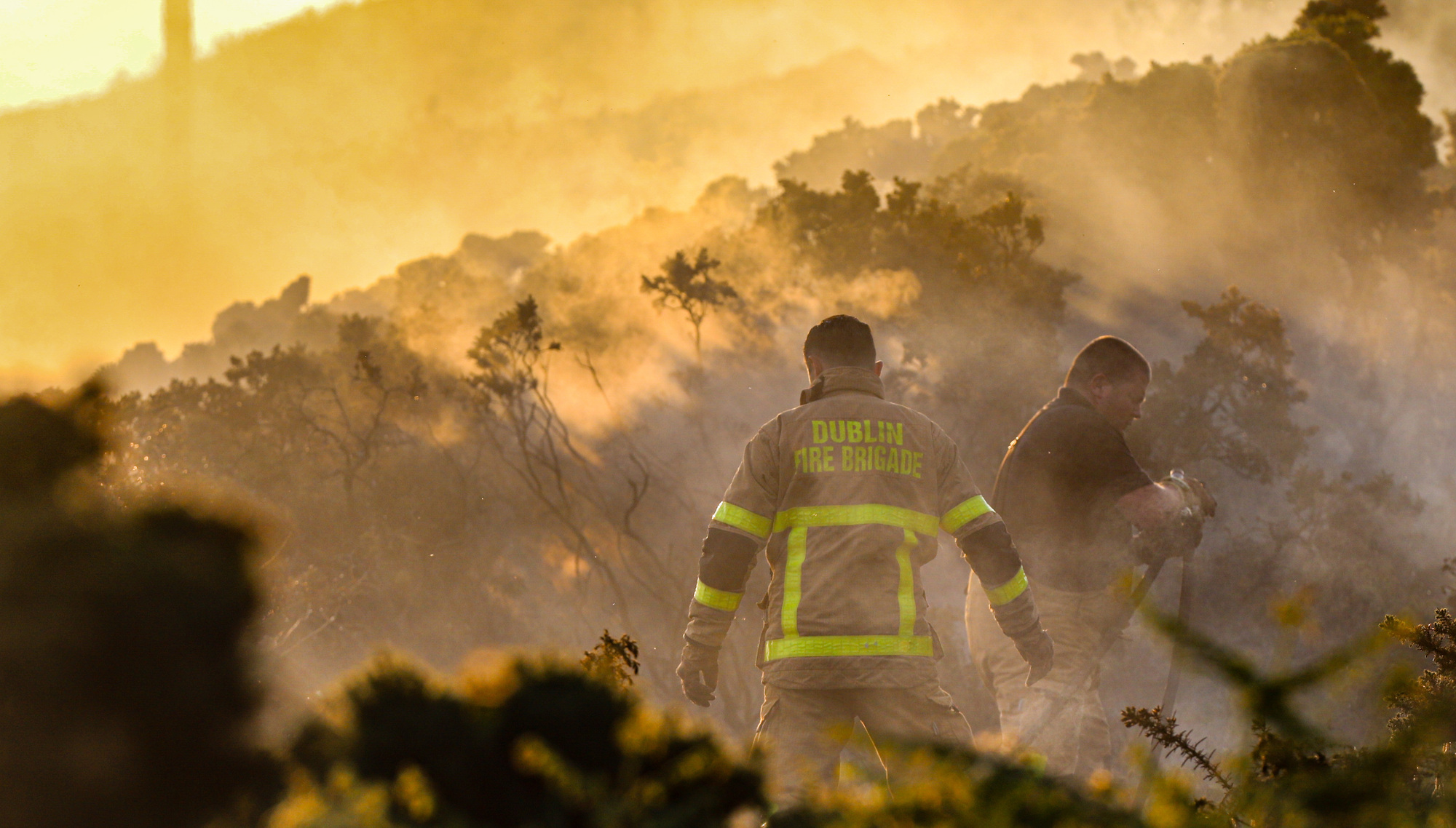 Letters to the Editor: Part of our heritage torched in gorse fires