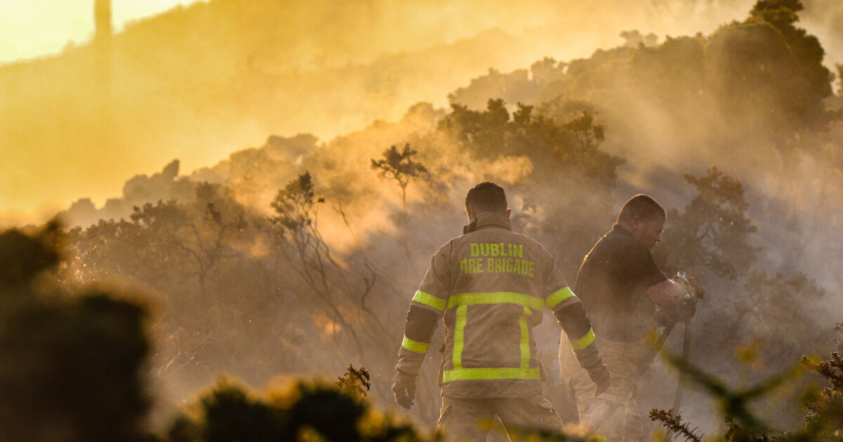 Letters to the Editor: Part of our heritage torched in gorse fires