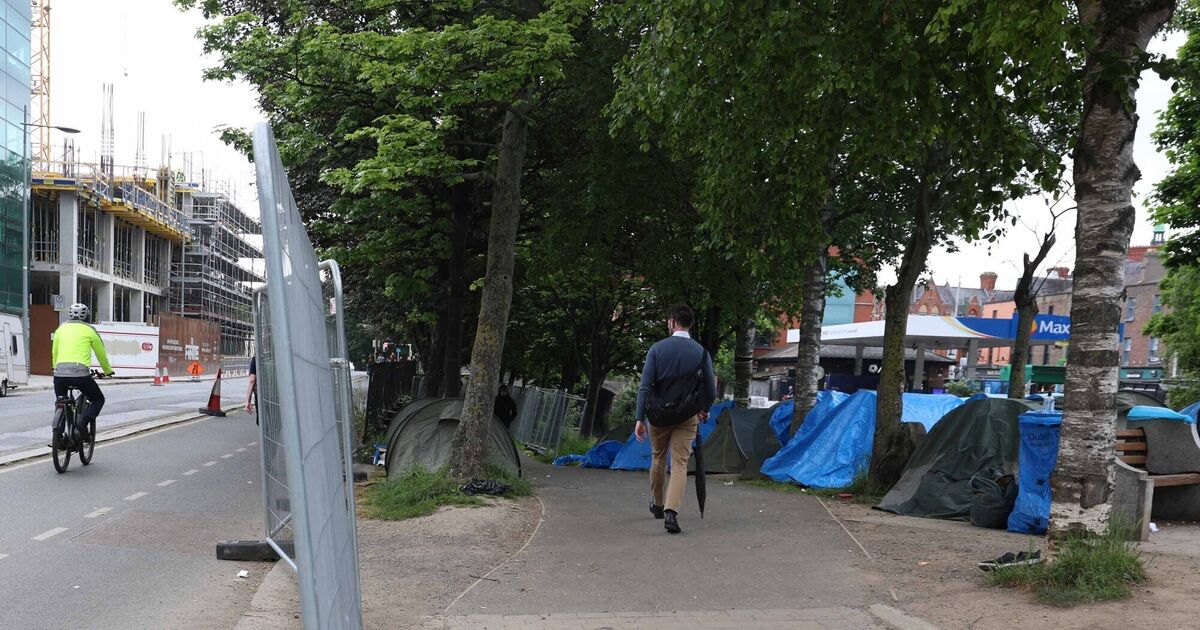 Sharp contrast in supports for adult and teenage asylum seekers worth ...