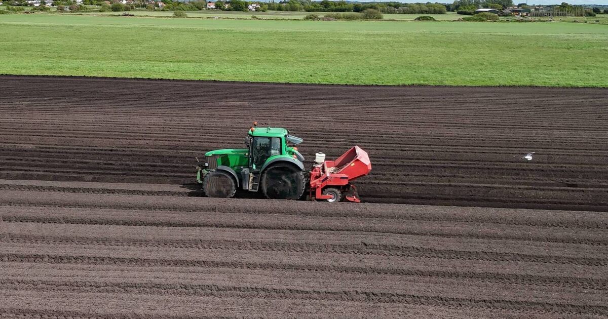 Reseeding always pays: Brian's top tips for reseeding success