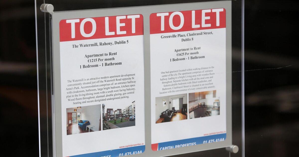 Irish rental market facing takeover by institutional investors, say ...