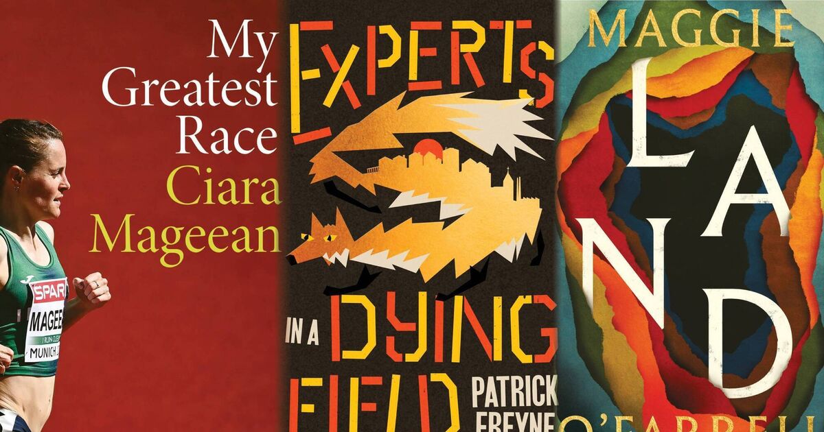 10 new books for June: Maggie O'Farrell, Patrick Freyne, Ciara Mageean...