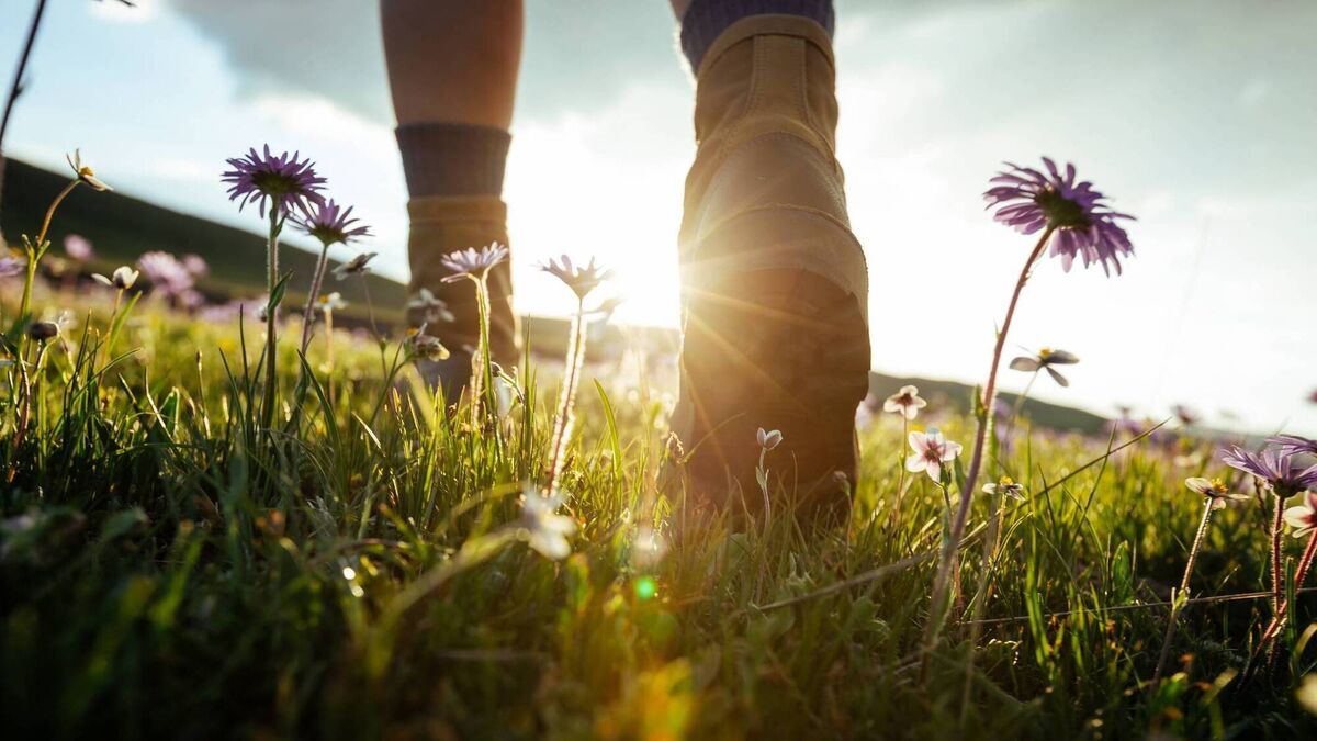 Head to the hills: Taking steps to maintain our outdoor areas