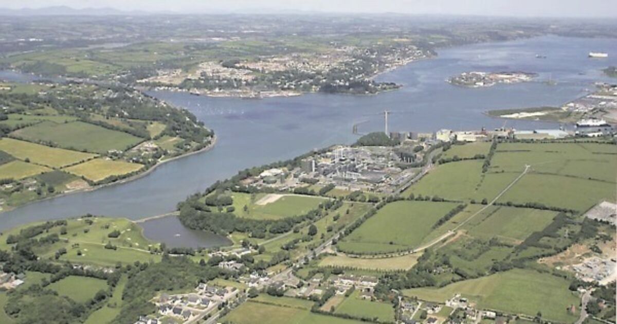 Indaver sees 11th-hour objection to incinerator from Cork County Council