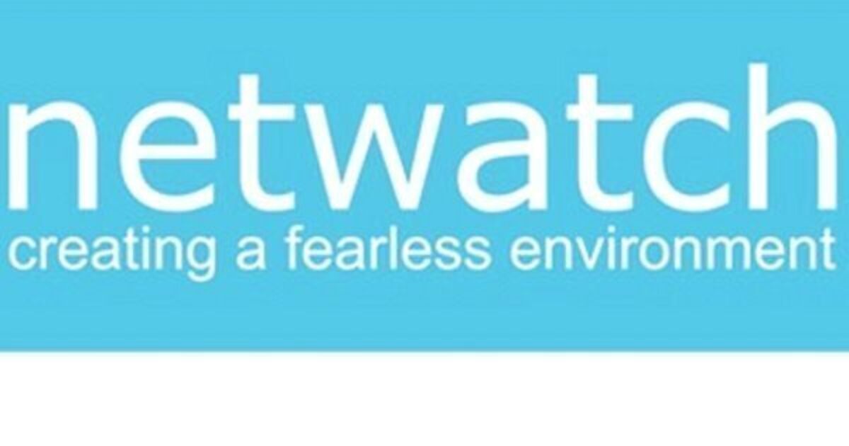 Netwatch announces 60 jobs for Carlow
