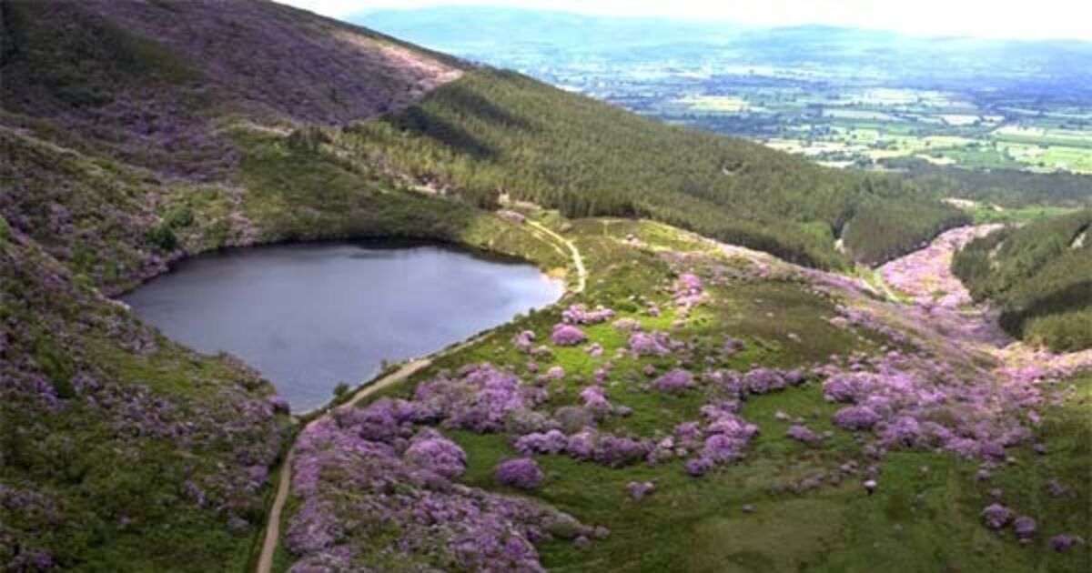 This video of the Vee Pass in Tipperary's Knockmealdown Mountains will ...