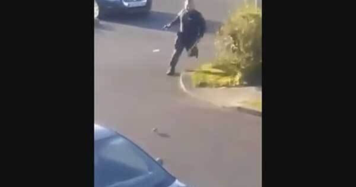 Clondalkin residents filmed chasing rats through their neighbourhood