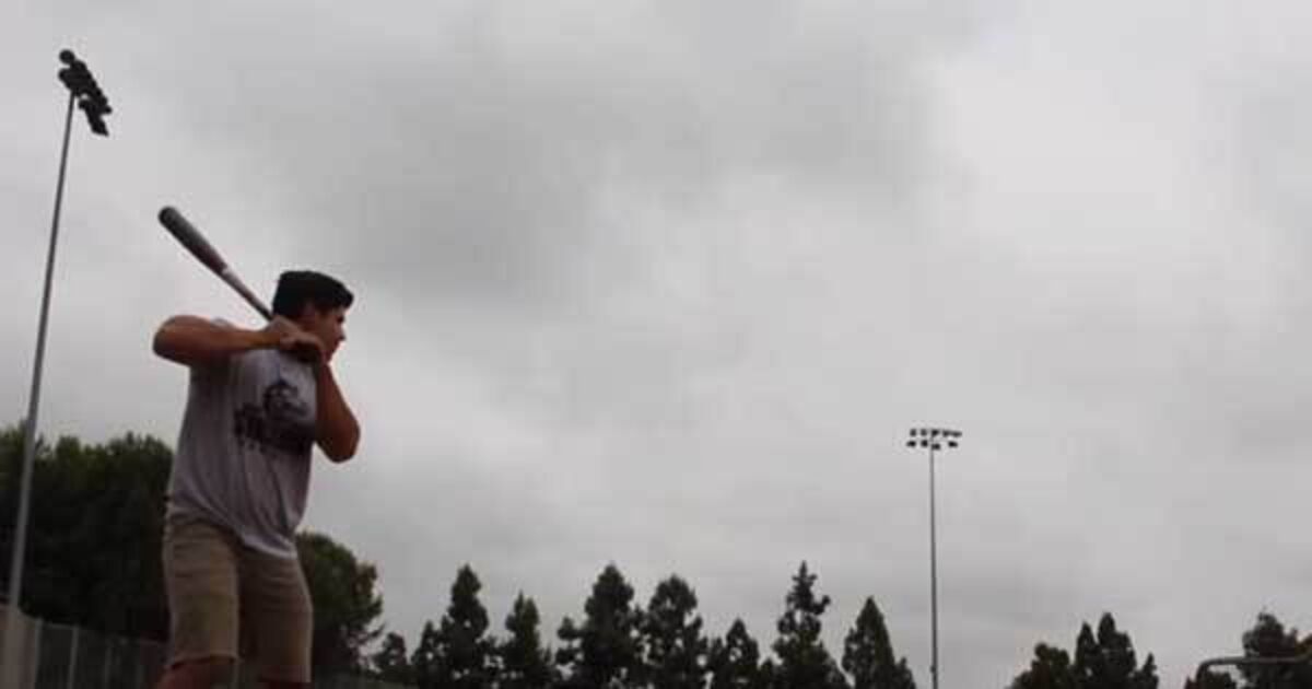 Boy accidently hits bird mid-flight with baseball