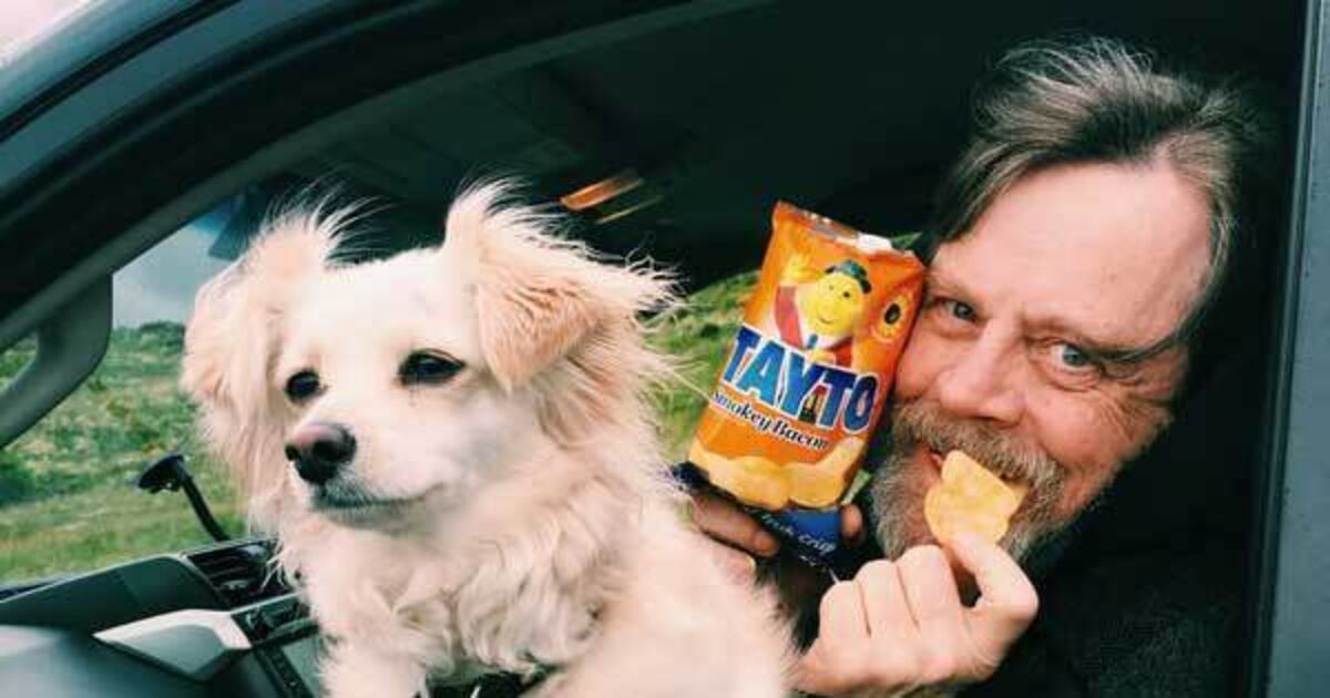 Mark Hamill says goodbye to Ireland with pack of Taytos and cute dog in tow