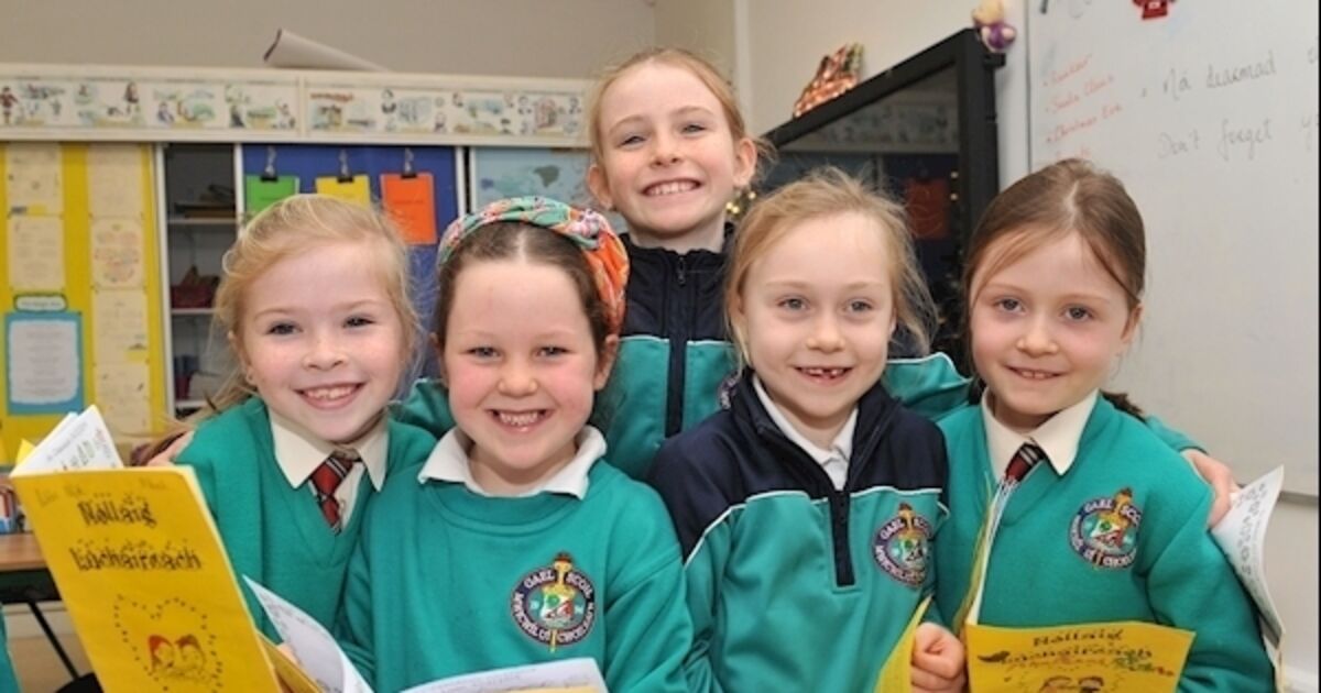Top of the class: How one Cork primary school replaced homework with ...