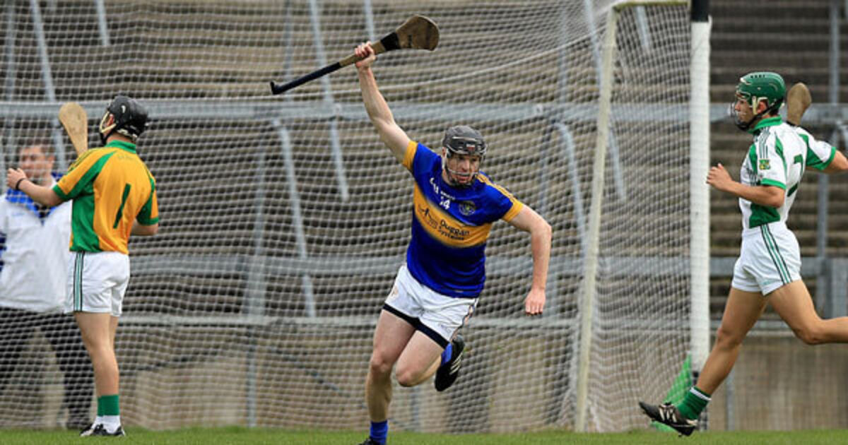 Patrickswell dominate Ballybrown to capture 19th Limerick SHC title