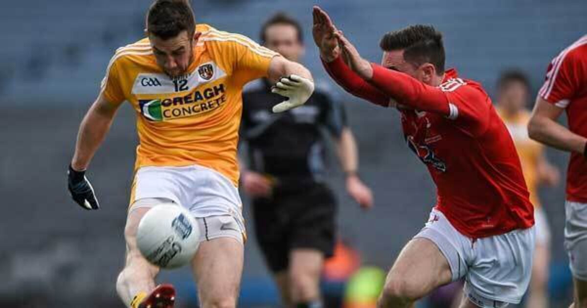 Louth rally to win Division 4 title