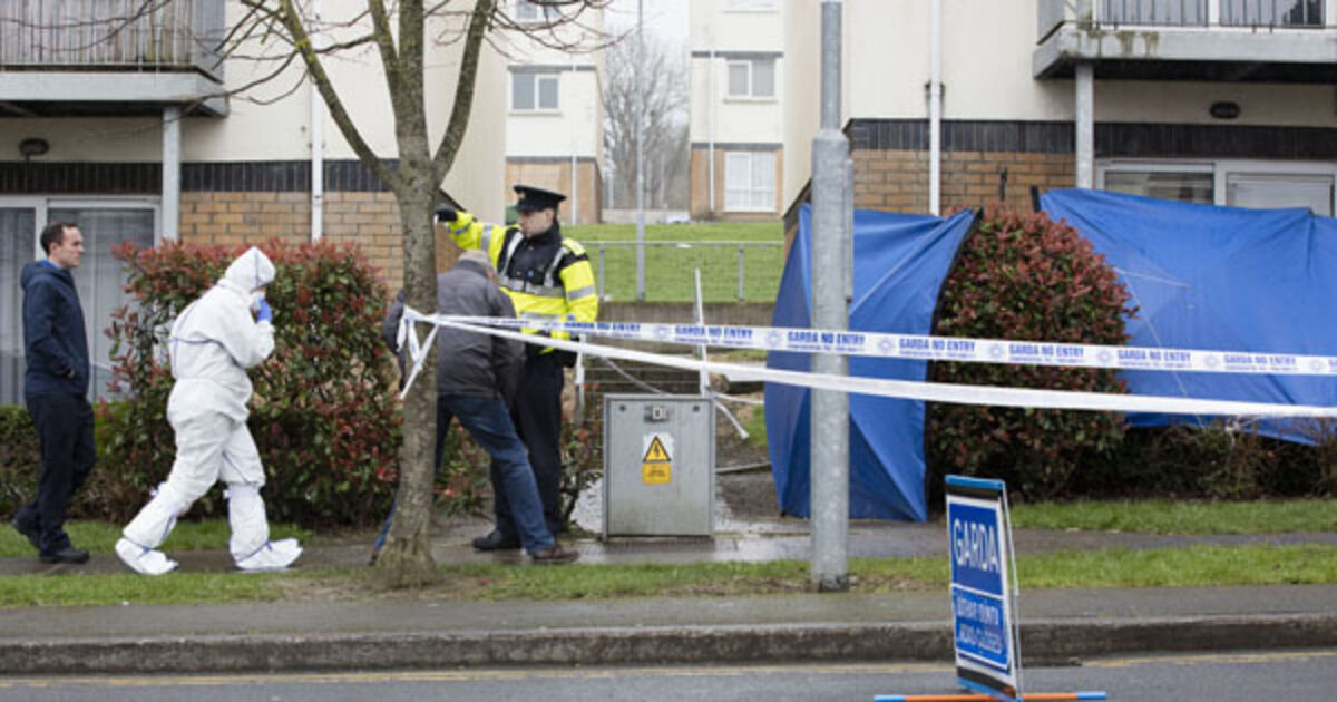 Gardaí investigating fatal Tallaght stabbing release man without charge
