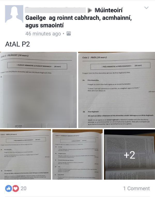 LC Irish Paper 2 published online- while students were in the exam ...