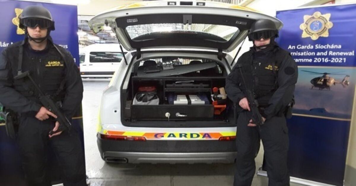 New armed Garda task force unveiled today