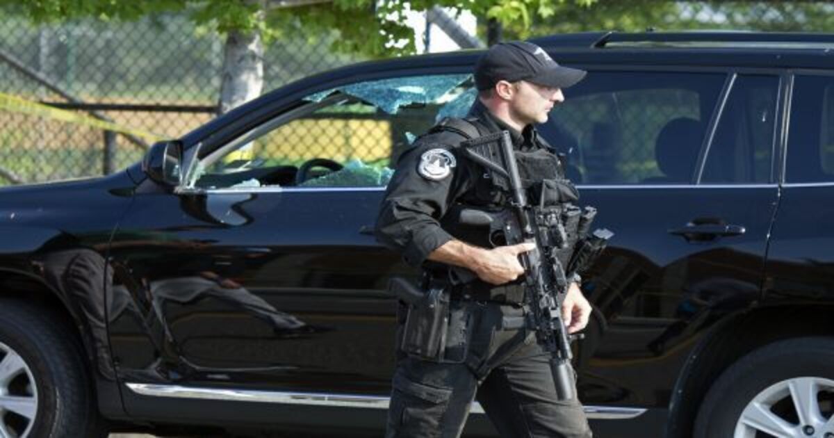 Gunman who shot US politician volunteered on Sanders presidential campaign