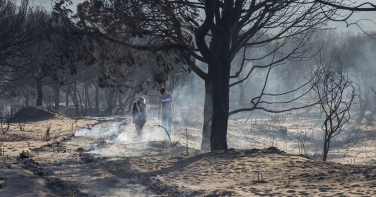 Battle resumes to extinguish Spanish forest fire