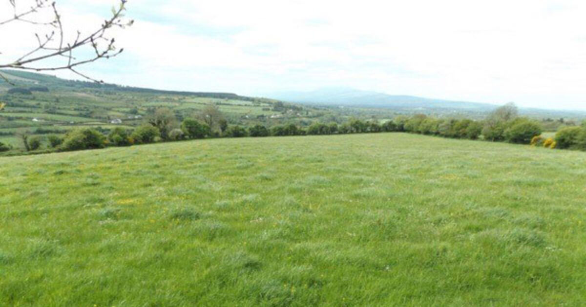 Kerry farm fetches €11,500 an acre