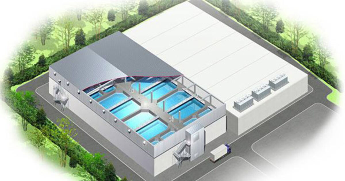 Land-based fish farms to use artificial seawater
