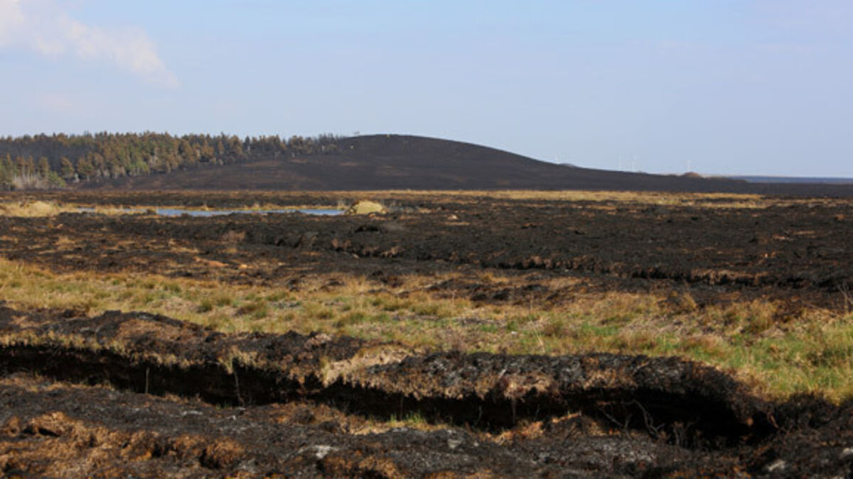 Burnt land not generally eligible for Basic Payment