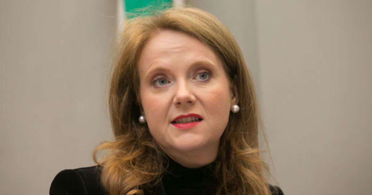 Fine Gael taking Senator Catherine Noone's bullying allegations 'very ...