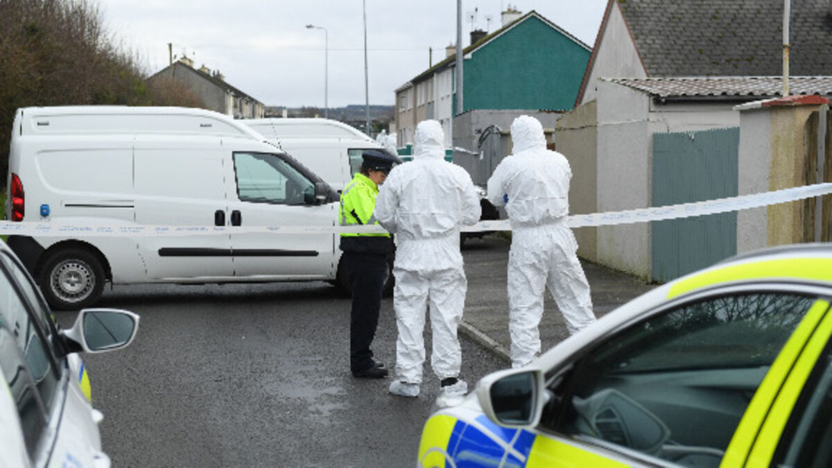 Latest: Second man arrested in connection with suspected assault in Kerry