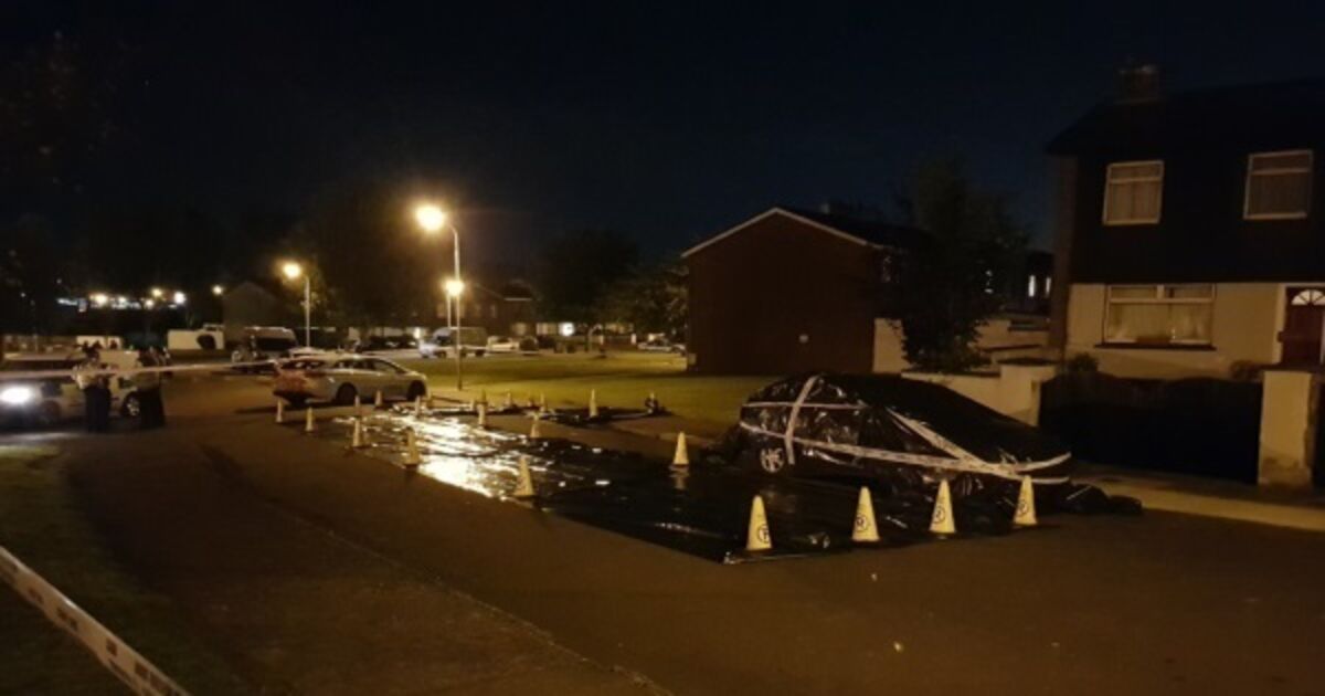 Three stabbed in slash hook attack in estate in Cork