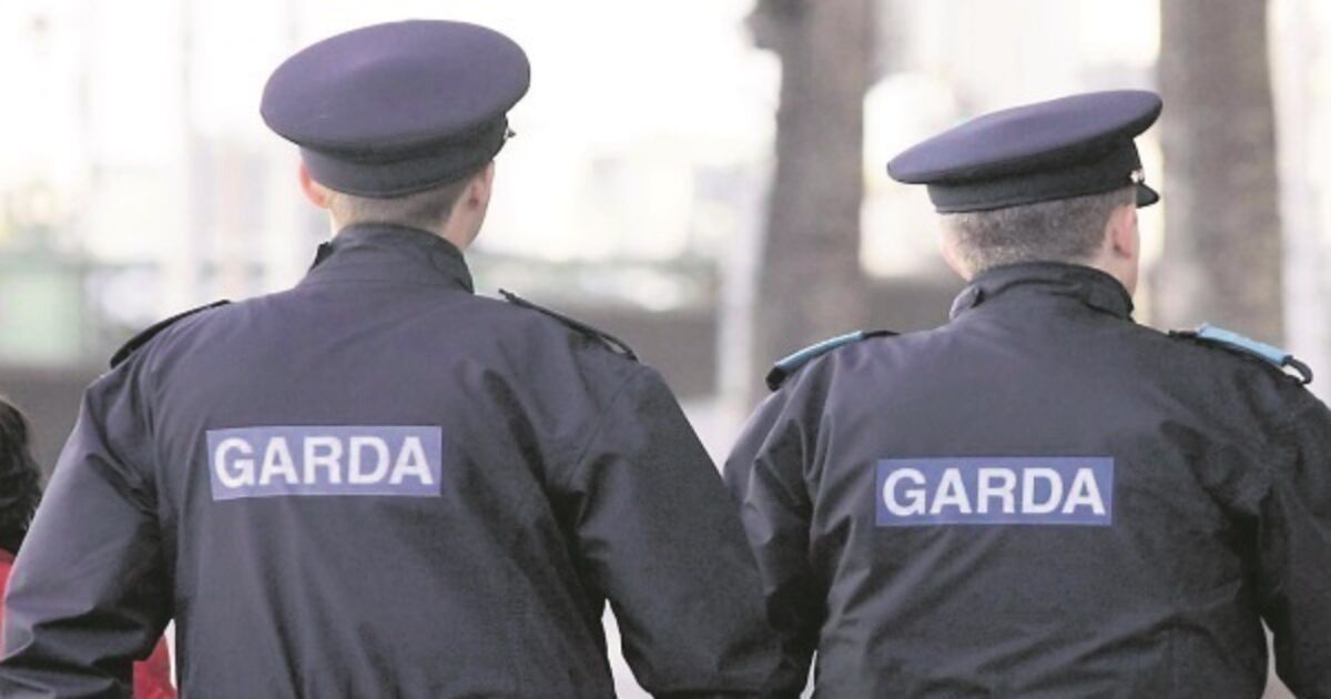 Latest: Reports that dog shot dead in Cork shooting incident
