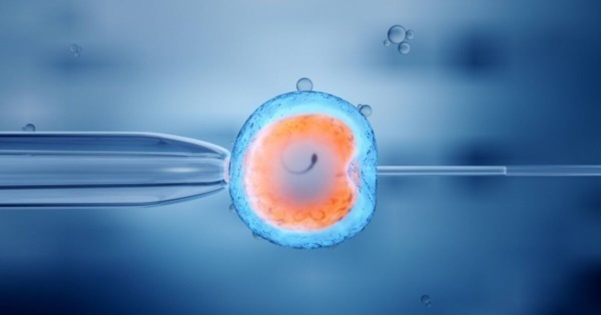 IVF Age Limit Plans Described As unfair IVF Age Limit Plans Described As unfair