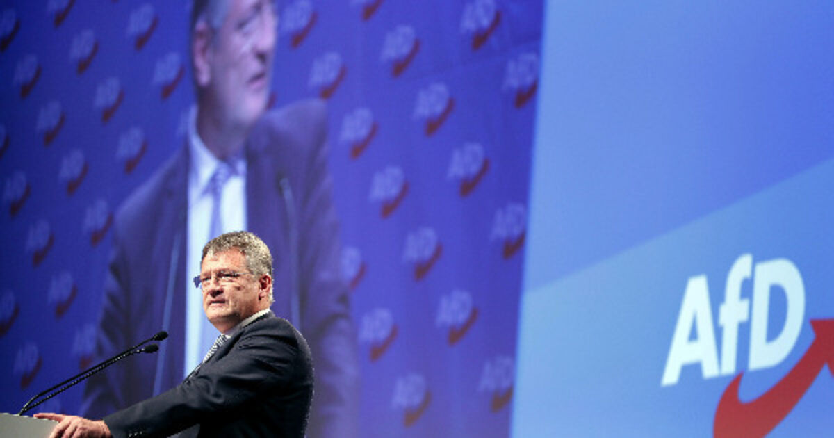 German nationalist party elects leadership after convention hit by protests