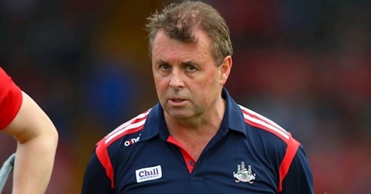 Denis Ring steps down as Cork U20 hurling manager