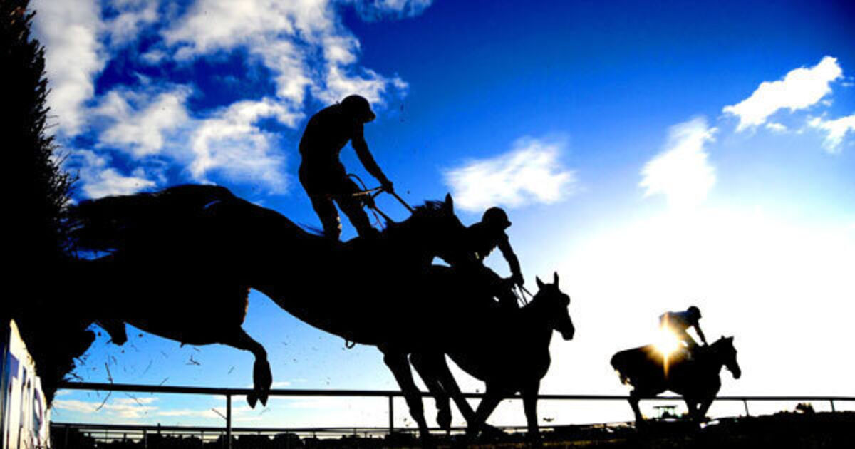 HRI unveils plans for Tipperary all-weather track and €12,500 minimum ...