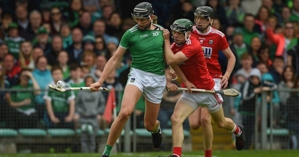 Anthony Daly: Limerick would relish sowing doubt in Cork minds