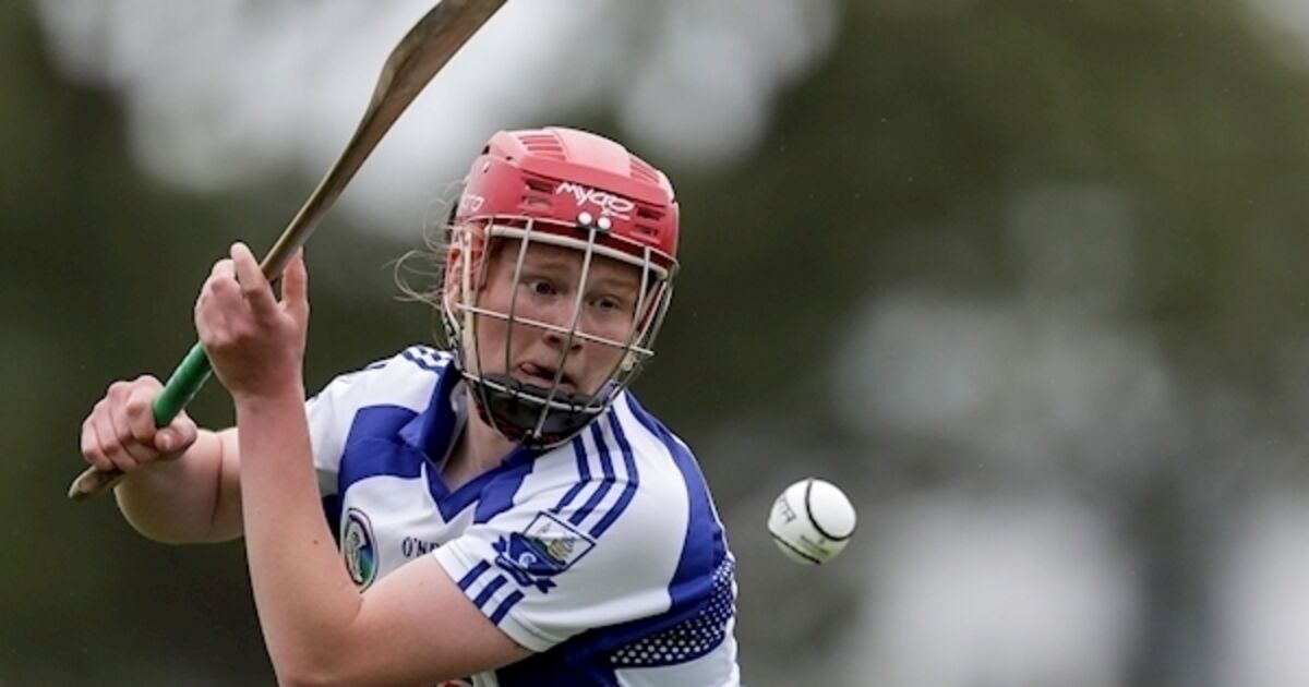 Four players to watch out for during the Ashbourne Cup weekend