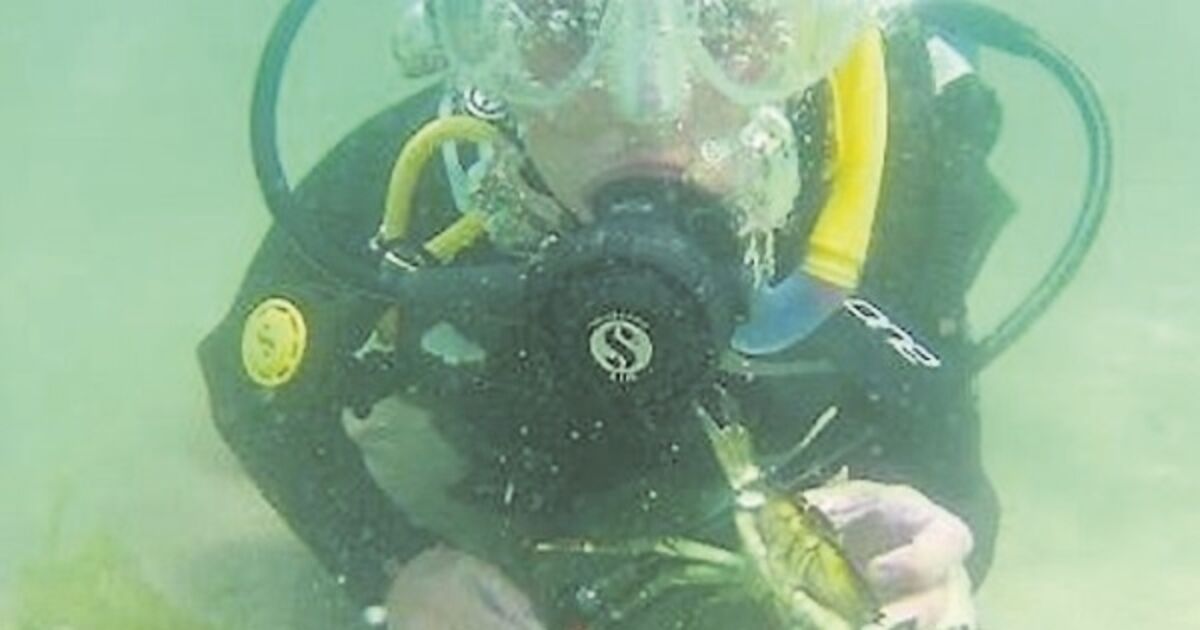 Dive instructor Dave Quinlan exploring Cork Harbour depths