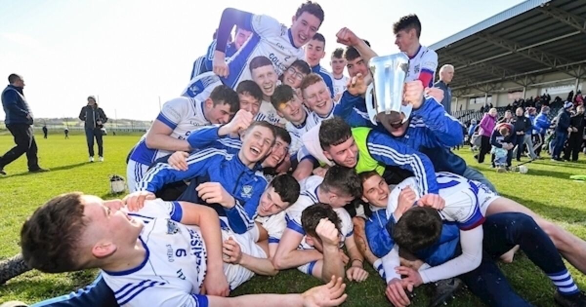 Harty Cup hurling and a changing Ireland