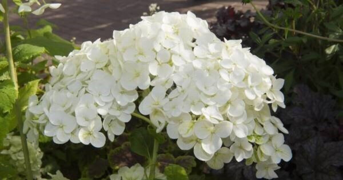 Small is still beautiful