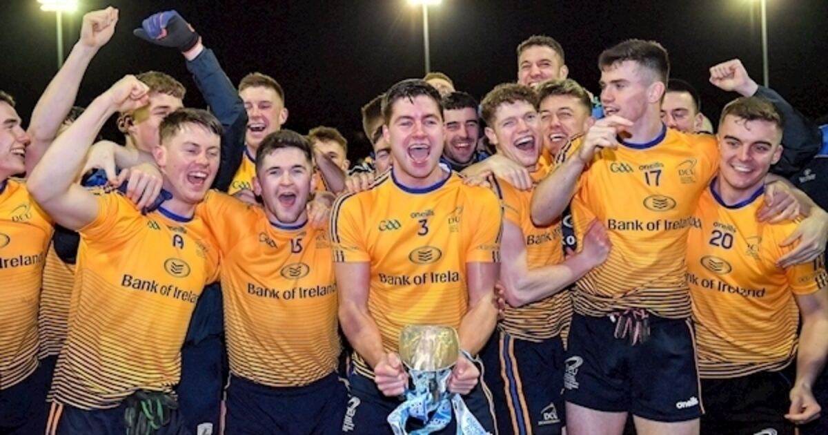 Paddy Small and Evan Comerford star as DCU deliver Sigerson crown