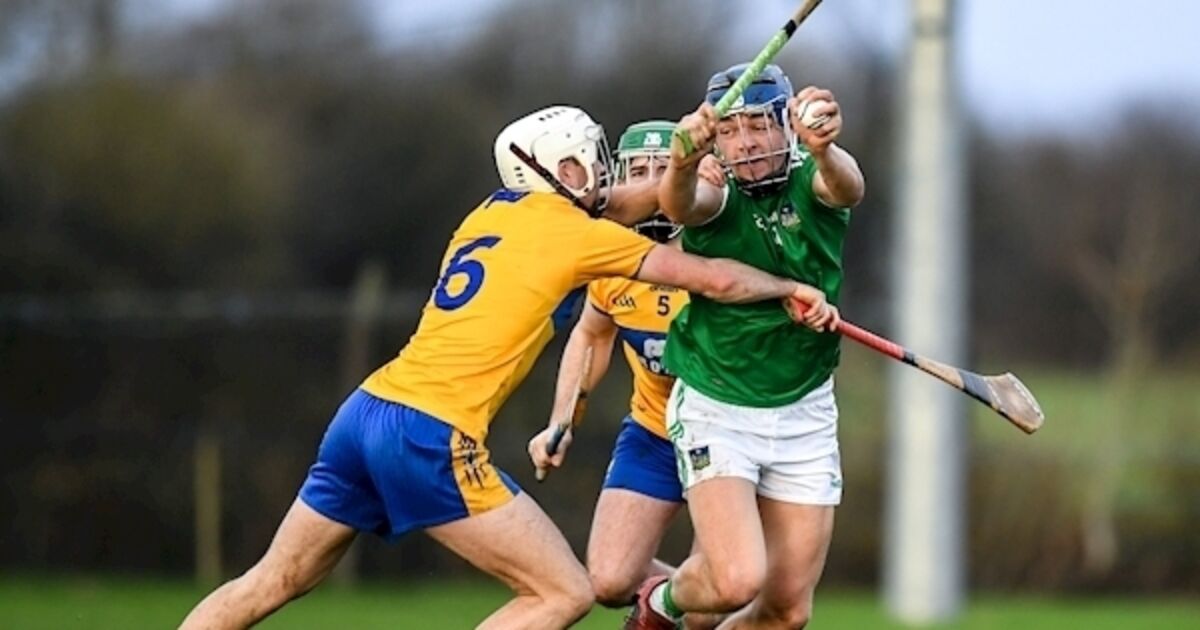 David Reidy hits 1-12 as Limerick set up Munster SHL final date with Cork