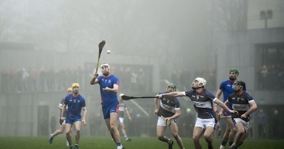 Fitzgibbon Cup: Austin Gleeson off injured as WIT fall short against ...