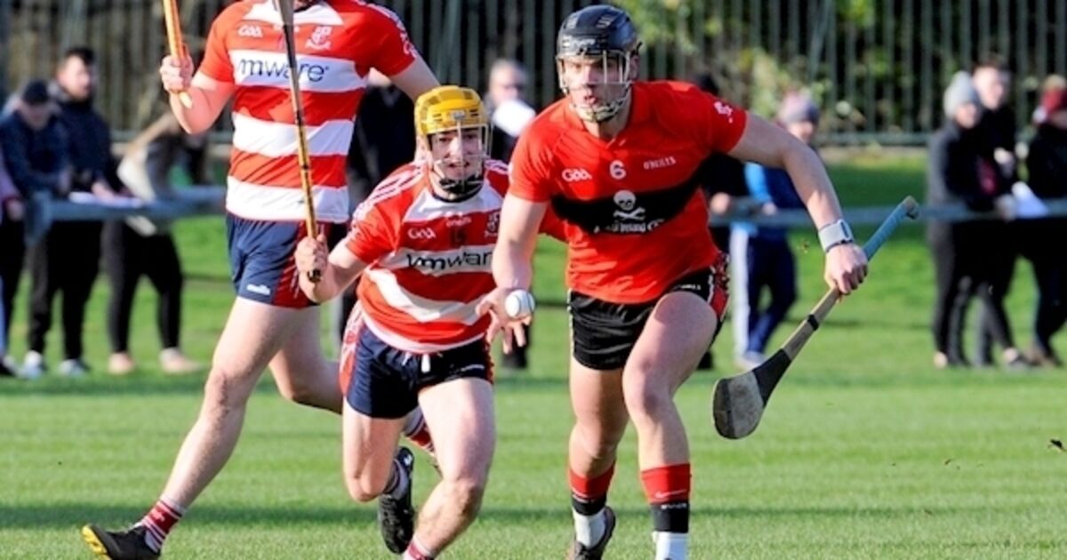 UCC book home quarter-final with victory over Cork IT
