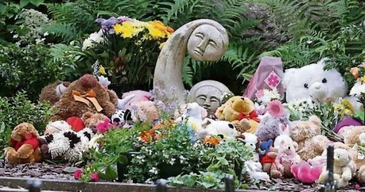 Recognise adoption scandal warrants criminal investigation