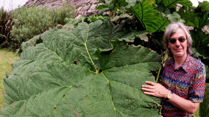 Question of Taste: Tim Goulding