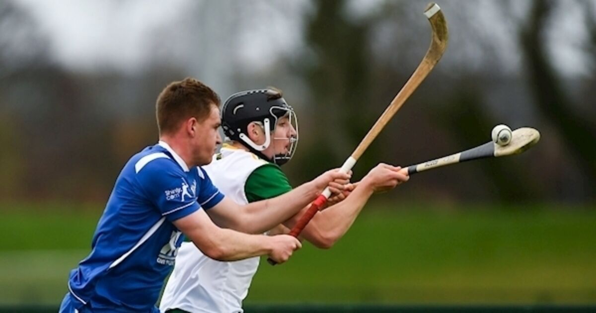 19 counties represented in Ireland squads for Hurling-Shinty Internationals